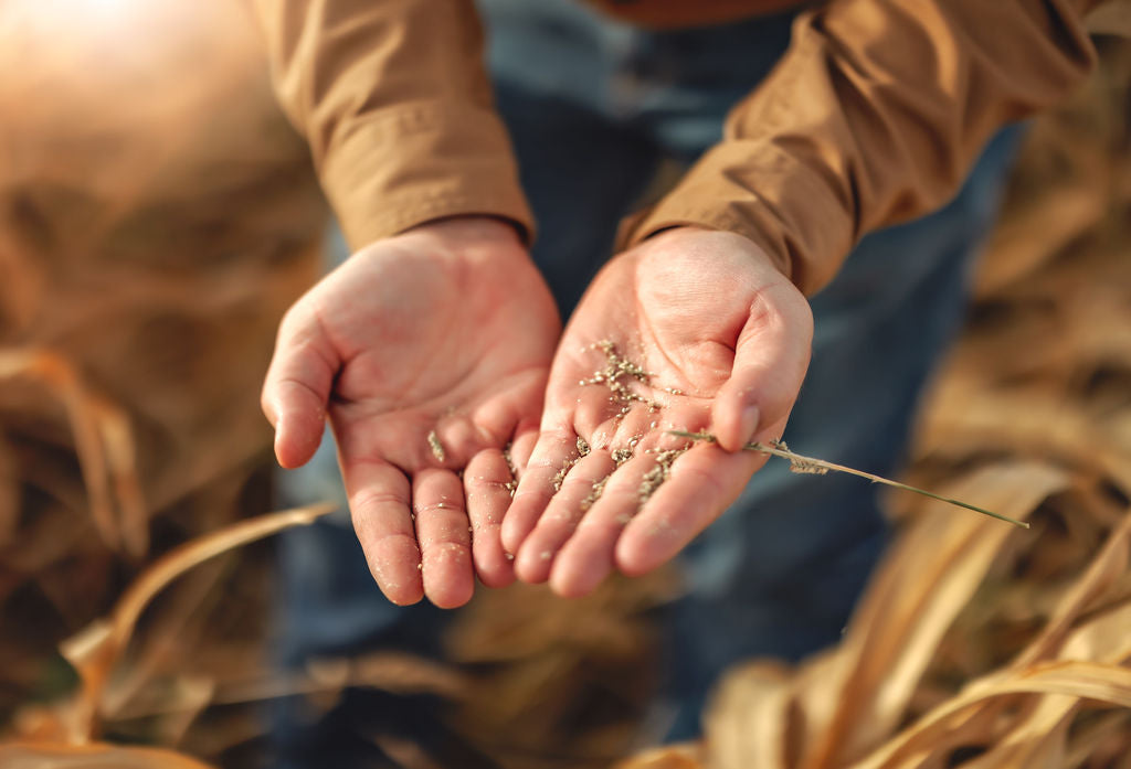 Regenerative Farming: Nurturing the Land, Nourishing the Future ...