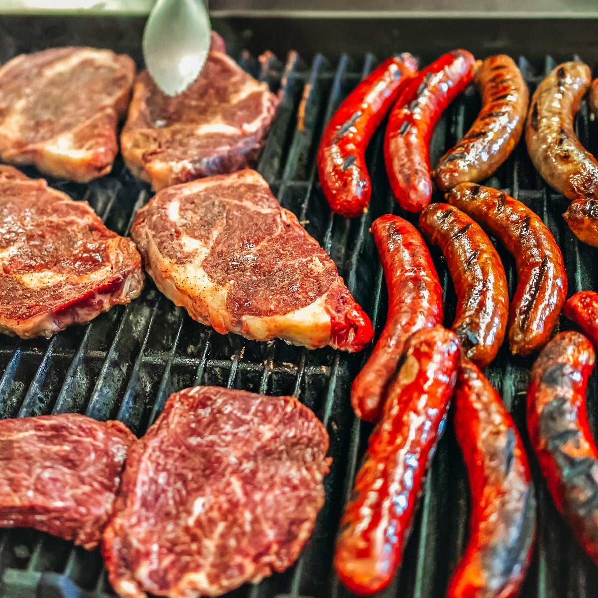 All Grass-fed & Finished Beef – Wholly Cow Market